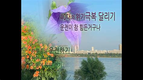 40대 직장생활 운전 브이로그 고객사 미팅 거래처 방문 운전은 힘들다 일상 싸이콘서트 진짜 연예인 최고