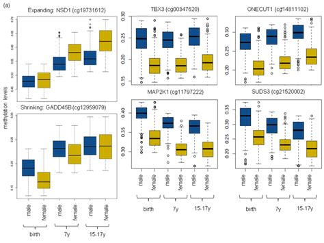 Sex Differences And Change Over Time Download Scientific Diagram