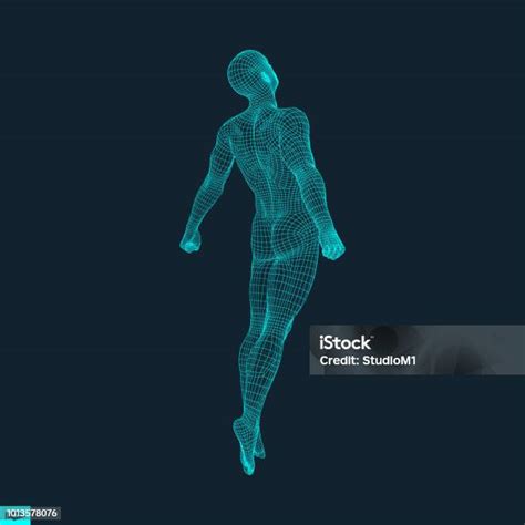 남자 기하학적 디자인의 점프 맨 3d 모델의 실루엣 다각형 덮 음 피부입니다 인체 와이어 모델입니다 벡터 일러스트입니다 인체에 대한 스톡 벡터 아트 및 기타 이미지 Istock