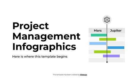 Project Management Infographic