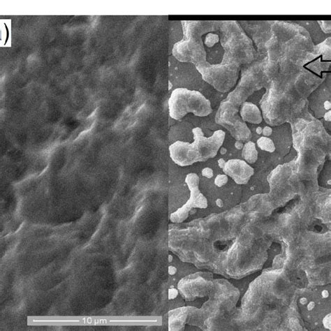 A Shows The Surface Sem Image Of 2 µm Thick Cuogdc Film Deposited At Download Scientific