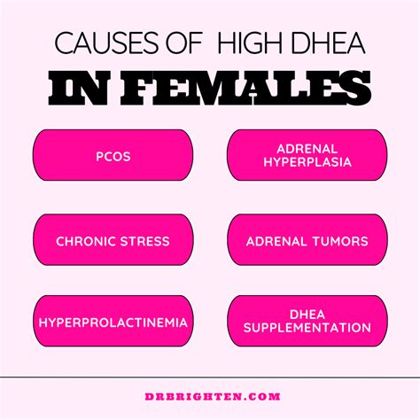 Dhea Sulfate Procedure Code At Ashley Smalley Blog