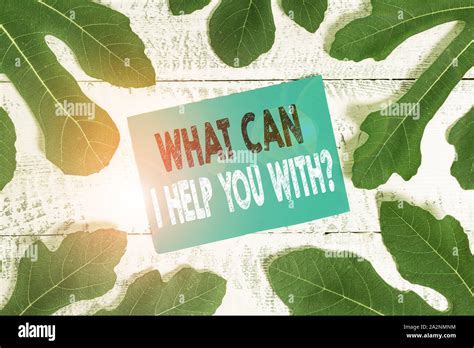 Word Writing Text What Can I Help You With Question Business Photo Showcasing Offering