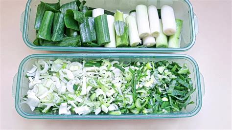 냉장고 정리용기로 대파 신선도 유지하는 보관방법 네이버 Tv