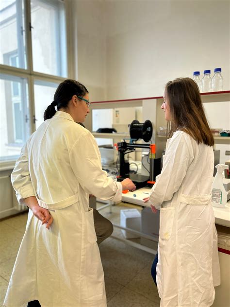 Brain Matrix For Slicing Por Daniel Educación