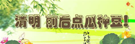 清明前后种瓜点豆图册 360百科