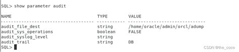 开启数据库审计（db extended级别或os级别），并将审计文件存放到 home oracle audit下 oracle 审计文件目录