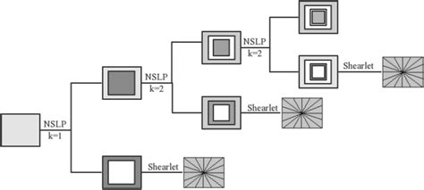 The Nsst Decomposition Process Download Scientific Diagram