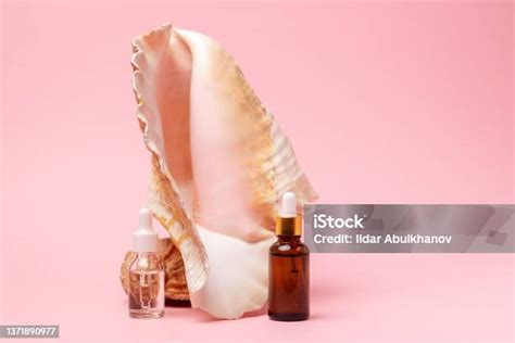 스트롬버스 기가스 조개 장식으로 분홍색 배경에 드롭퍼가 있는 투명하고 갈색의 화장품 병 공간을 복사합니다 뷰티 제품을 위한 광고 템플릿의 개념 각질제거에 대한 스톡 사진 및
