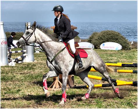 무료 이미지 바닷가 바다 종마 거인 아틀라스 근검 승마주의 포유류 같은 말 4000x3000 1157149 무료 이미지 Pxhere