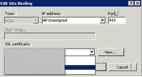 Windows Server 2008 Ssl Certificate Error After Issuing New
