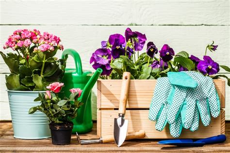 Premium Photo Gardening Tools And Flowers