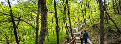 登封摘星楼风景区