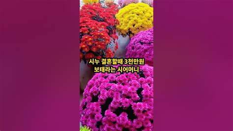 시누 결혼 자금으로 3천만 원을 보태라는 시어머니 Youtube