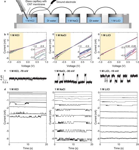 Observation Of Blocking Events By Ionic Species A Illustration Download Scientific Diagram