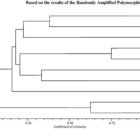 Dendrogram Of Similarity Jaccard Coefficient Of Similarity Among Ten