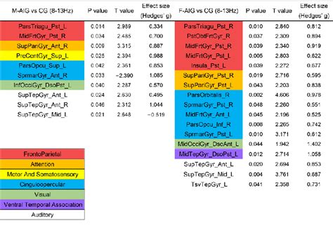 Figure 1 From Activation Patterns Of Functional Brain Network In Response To Action Observation