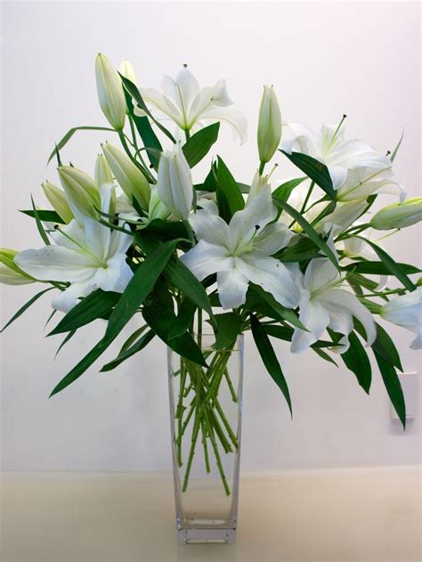 Remembering Jane Seddon Willson Museum Benefactor And Board Of