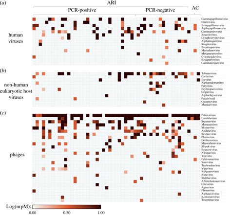 metagenomic profiling of nasopharyngeal samples from adults with acute