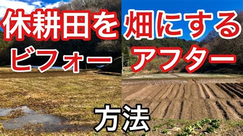 休耕田を畑にする YouTube