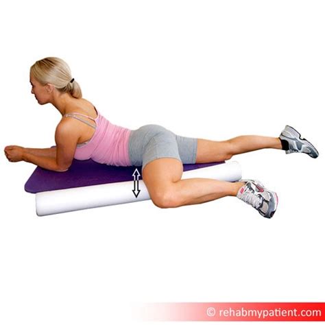 Adductor Longus Rehab My Patient