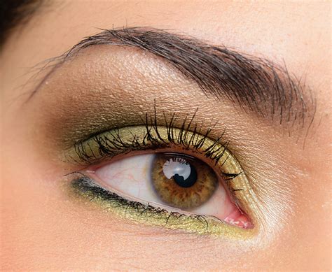 Mac Green Eyeshadow Look Temptalia