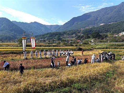 언니네텃밭 텃밭과 꾸러미로 바꾸는 세상