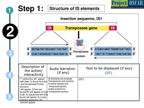 Ppt Bacterial Transposons Powerpoint Presentation Free Download Id 7049052