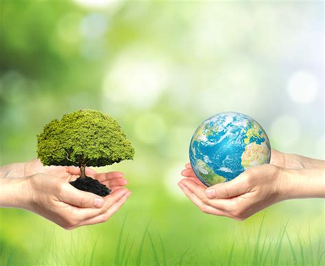 煤泥水净化器 含硫废水零排放 MBBR一体化污水处理装置 扬州兄弟环境保护设备工程有限公司