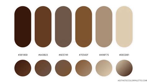 Seashell Colors Aesthetic Color Palette