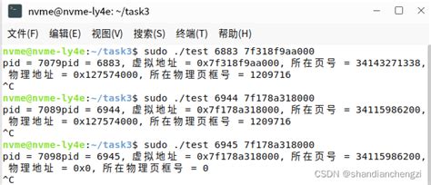 【hust】网安｜操作系统实验｜实验三 内存管理操作系统内存管理实验 Csdn博客