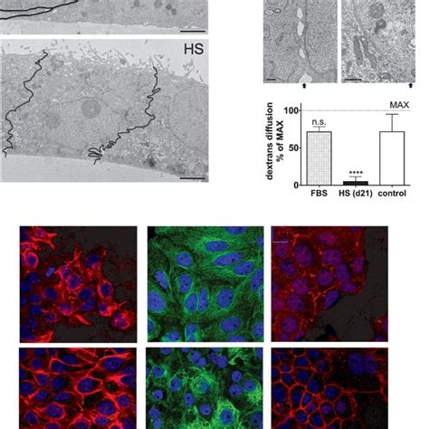 Pam Clustering And Drem Analysis A Pam Clustering Partitioning Download Scientific Diagram