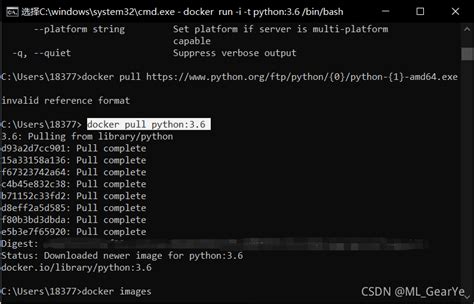 win10下 docker 配置python pytorch深度学习环境 win10 python docker ml gearye的博客 csdn博客