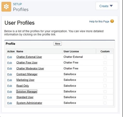 Salesforce Control Access Objects