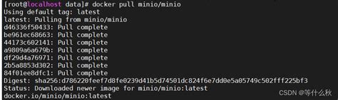 Springboot集成miniominio 集成springboot Csdn博客