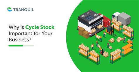 Why Is Cycle Stock Important For Your Business TRANQUIL