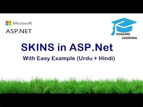 Skins In ASP Net With Easy Example Urdu Hindi YouTube