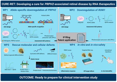 Development Of Genetic Patches For The Treatment Of Hereditary