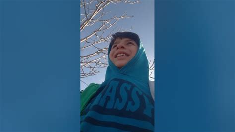 ლეკვები ლუსი ჯეკა მსუქანა ბომბოლი სასაცილოა უყურეთ Youtube