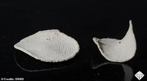 The End Of IKEA Instructions 3D Printed Wood Can Morph Into Chairs