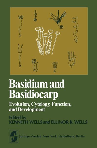 Basidium And Basidiocarp Fachbuch Bücherde
