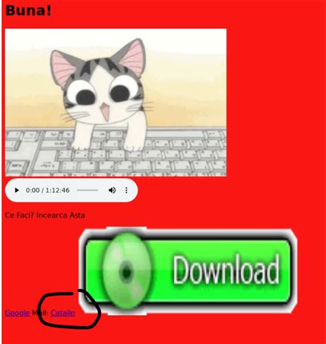 rubycarp a detailed analysis of a sophisticated decade old botnet group cyber security news