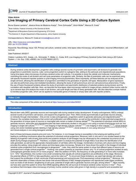 Pdf Live Imaging Of Primary Cerebral Cortex Cells Using A 2d