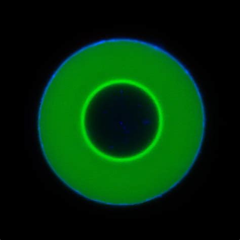 Researchers Discover Unexpected New Form Of Molecular Motion