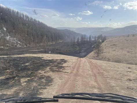 СЭРЭМЖЛҮҮЛЭГ Гүнжийн сүмд ой хээрийн түймэр гарчээ