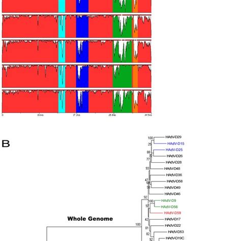Comparative Genomic Analysis A Pairwise Nucleotide Comparison Of Download Scientific Diagram