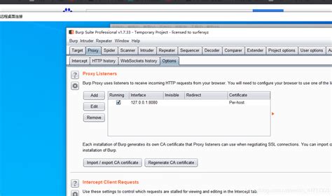 Burpsuite全套使用教程burpsuite教程 Csdn博客