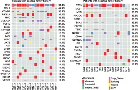 Tumor Specific Mutation Landscape In Esophageal Squamous Cell