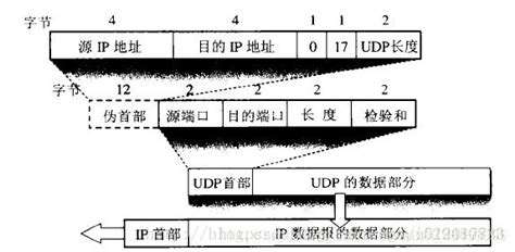 tcp和udp报头结构 udp与tcp报头结构 csdn博客