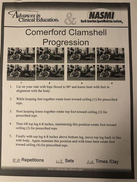 Clamshell Progression Body North American Education